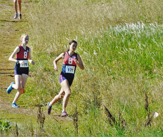 Cross Country